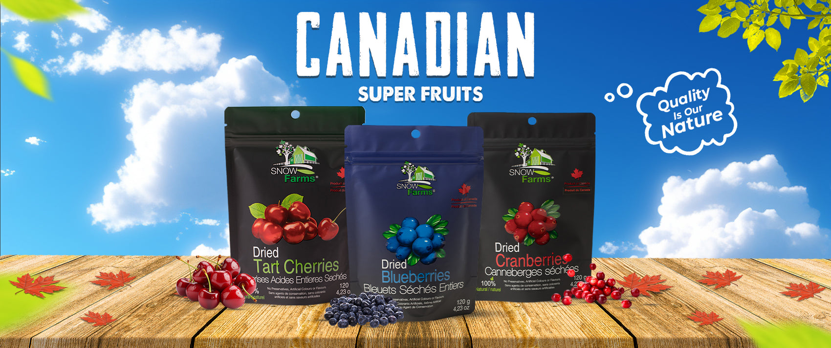 Tropical Link Canada